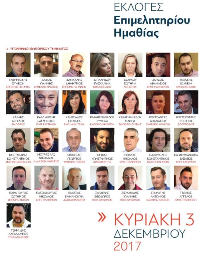 ΕΠΙΧΕΙΡΗΜΑΤΙΚΗ ΑΝΑΝΕΩΣΗ για το Επιμελητήριο Ημαθίας – Όλοι οι υποψήφιοι ...