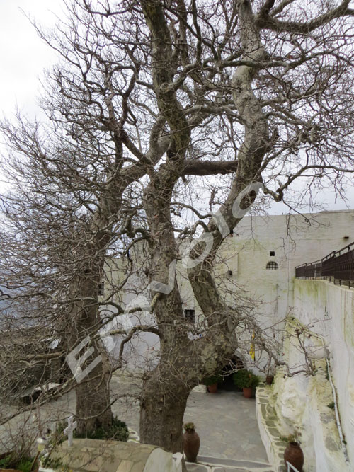 Συνταγή: Φουρτάλια Ανδριώτικη - Από τον γέροντα Ευδόκιμο, Ηγούμενο της ...