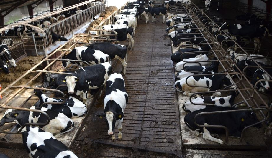 Αγροτικά – Κτηνοτροφία: Νέο νομοσχέδιο για τους συνεταιρισμούς και ...