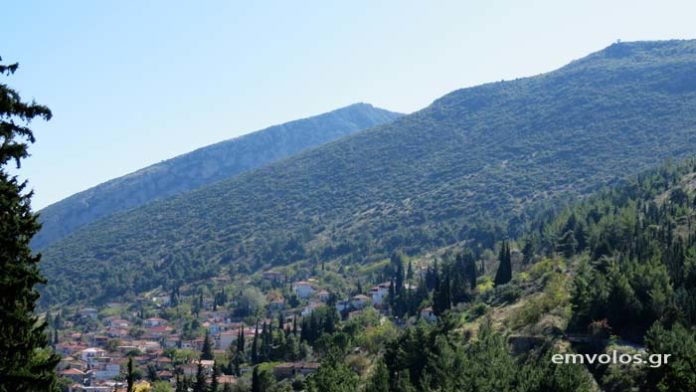 Κέικ με βανίλια και κακάο - Πανεύκολο και νόστιμο | Έμβολος