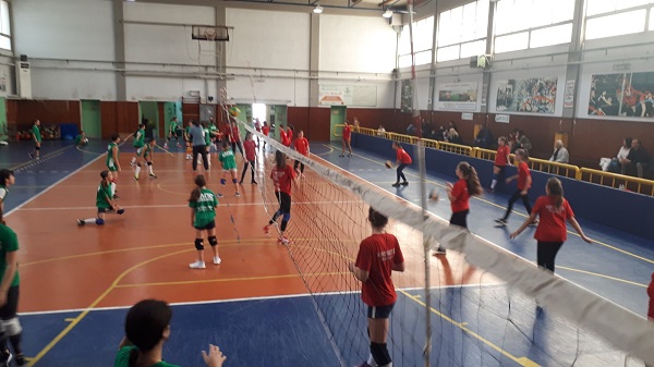 Οι μικρές αθλήτριες του Ίκαρου Έδεσσας και της Ελπίδας Αμπελοκήπων ...