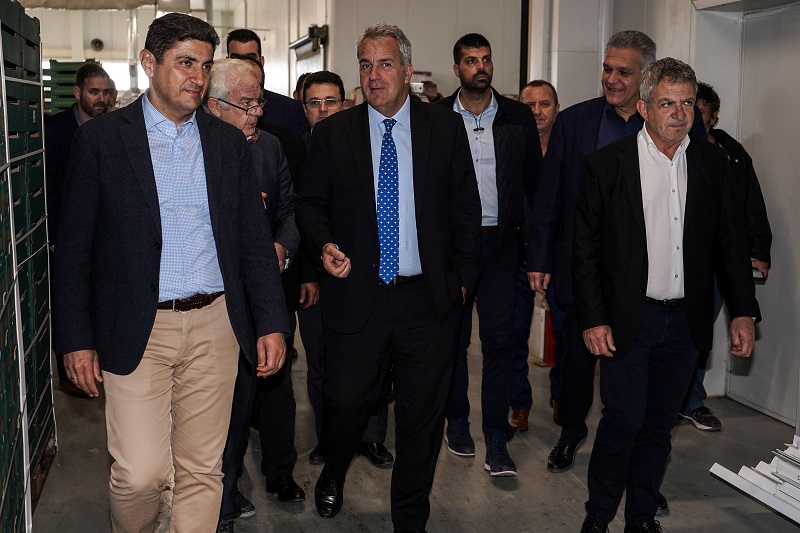 Μ. Βορίδης: Άμεση λύση στα προβλήματα των ελαιοπαραγωγών της Κρήτης από ...