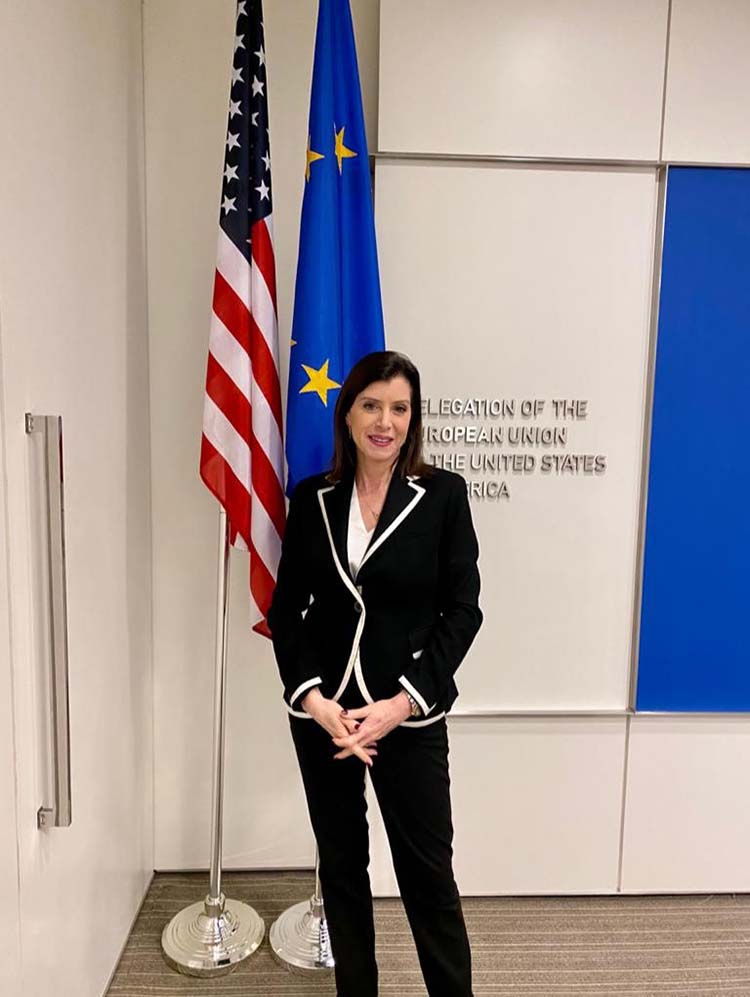 Anna Michelle Asimakopoulou: INTA mission to Washington DC | Έμβολος
