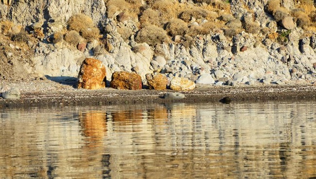 Μυτιλήνη: Το Απολιθωμένο δάσος της Λέσβου και η "Σαχάρα" της Λήμνου ...