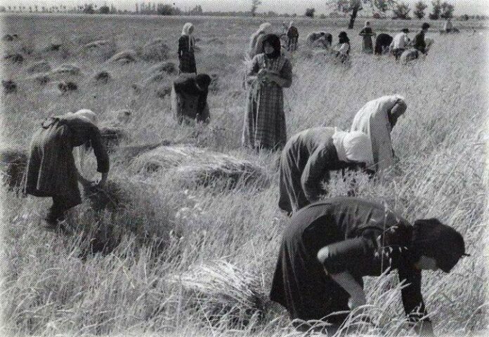 ΑγροΝέα: Ημέρα Ελληνίδας Αγρότισσας | Έμβολος