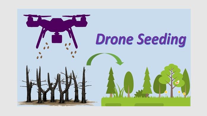 Πιλοτική τεχνική αναδάσωσης μέσω drone εφάρμοσε για πρώτη φορά στην ...