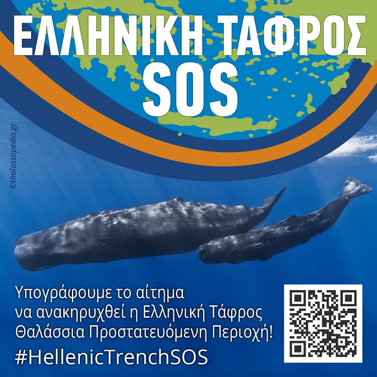 Καμπάνια για την ανακήρυξη της Ελληνικής Τάφρου ως Θαλάσσια ...