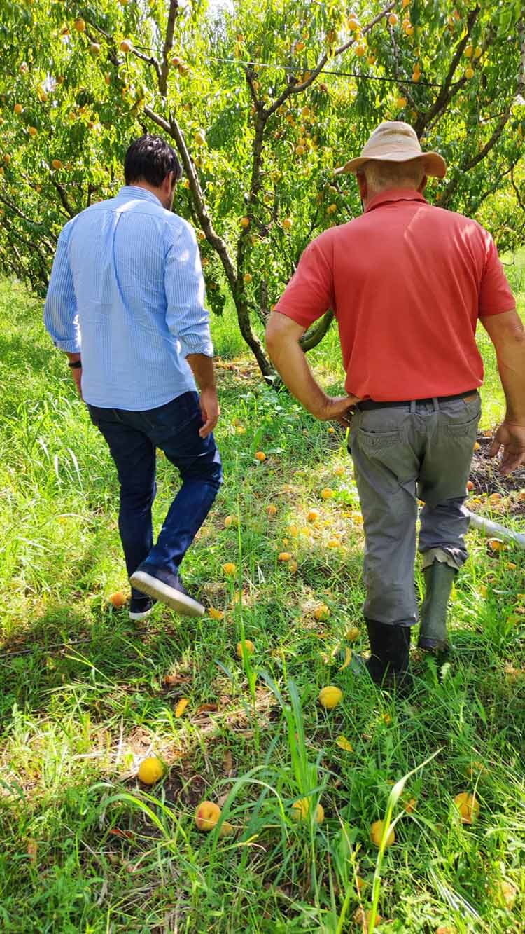 Ο Τάσος Μπαρτζώκας ζητά από ΕΛΓΑ και ΥΠΑΤ άμεσα ελέγχους και ...