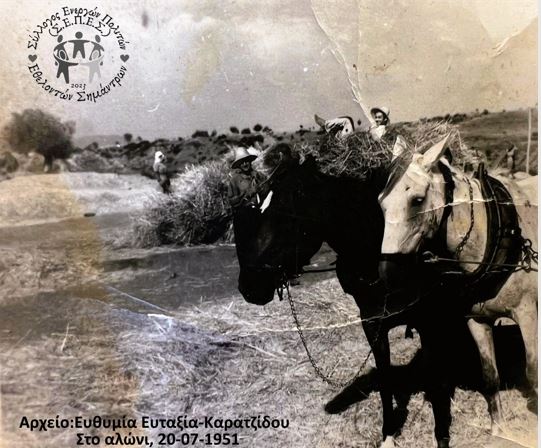 Παγκόσμια Ημέρα Αγρότισσας- Τέσσερις αγρότισσες του χθες και του σήμερα ...